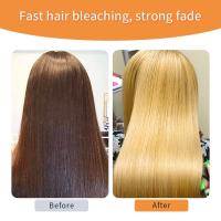 China Bleaching Blue Powder Professional Grade OEM Wholesale Hair Dye Factory for High Lifting Power for sale