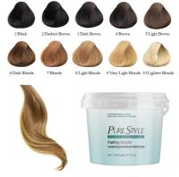 China Multi-Level Hair Bleaching Powder Custom OEM Wholesale Hair Dye Factory for Versatile Blonde Tones for sale
