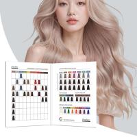 China Hair Color Book OEM  Hair Color Swatch Chart Premium Quality High-Accuracy Shade Guide with Durable Laminated Design for sale