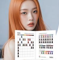 China Premium Hair Color Swatch Chart 47 Colors Professional For Salons OEM Wholesale Professional Hair Color Book for sale