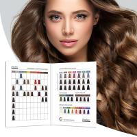 China Premium Quality  Purestyle Professional Salon Custom Hair Color Chart Book Hair Dye Color Chart Swatches for sale