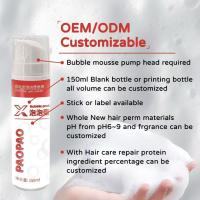 China Permanent Hair Perm OEM Hair Perm Cream Raw Material Long Lasting Organic Hair Perm Mousse Hair Color Manufacturer Wholesale for sale