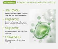 China Salon Professional Permanent Hair Color Cream Developer 1% 3% 6% 9% 12% Oxidant Cream Raw Material OEM for sale