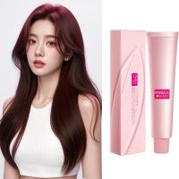 China Pandla Professional OEM Hair Color Cream Hot Sale Natural Hairstyle Color Hair Dye Factory Whoelsale for sale