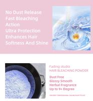 China Hair Dye Factory OEM Hair Bleach Powder Raw Material Dust Free for Professional Salon Permanent Hair Dye for sale