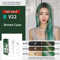 China Ammonia Free Herbal Semi Permanent Home Hair Dye Kit Raw Material OEM Hair Dye  Factory Supply for sale