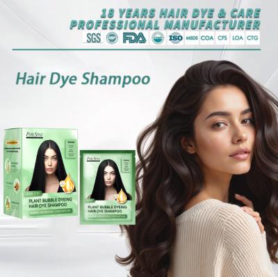 China Nourishing OEM Bubble Hair Dye Shampoo Herbal Formula 3-in 1 Fast Grey Covering Hair Dye Factory Supply for sale