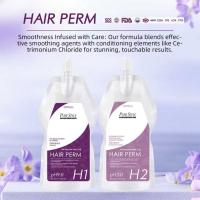 China Purestyle Japanese Formula Digital Natural Hot Hair Perm Cream Permanent OEM Available Hair Dye Factory for sale