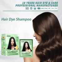 China Professional Hair Color Manufacturer OEM Bubble Hair Dye Shampoo Herbal Formula Easy Application Instant Hair Dye for sale