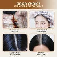 China Purestyle Home Fast Black Bubbel Hair Color Shampoo Permanent Color Black Dye Shampoo OEM Available for sale