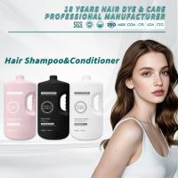 China Factory OEM Salon Shampoo and Conditioner for Gentle Hair Cleansing Nourishing Anti Frizz Wholesale for sale