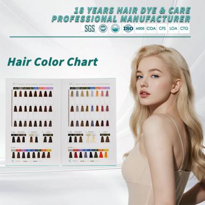 China Wholesale  Hair Colour Chart Book 39 Colors Professional For Salons OEM Available Hair Color Wheel for sale