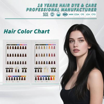 China Hair Colour Swatch Book 39 Colors Light Brown Hair Color Chart for Professional Salon Use Manufacturer Wholesale for sale