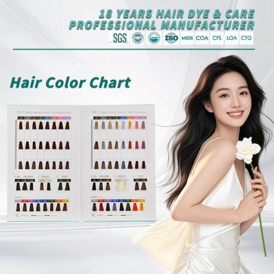 China OEM ODM Hair Colour Chart Book 39 Colors Extensive Color Range Premium Quality for Professional Salon Use for sale
