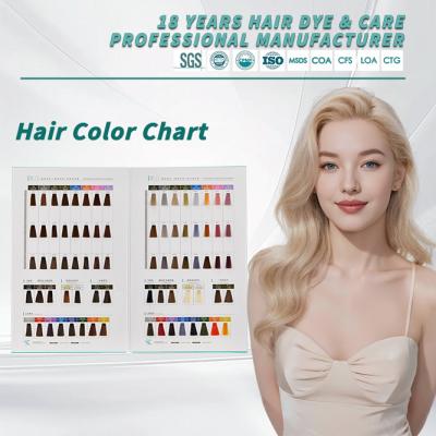 China Factory OEM 39 Colors Hair Colour Swatch Book  for Professional Salon Use Long Lasting Display for sale