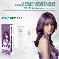China OEM Hair Dye Factory Semi Permanent Home Hair Dye With Hair Color Developer Organic Hair Colour for sale