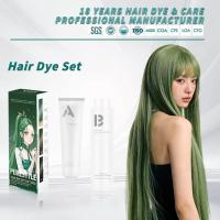 China Purestyle Semi Permanent Hair Dye Set Home Use OEM Wholesale Hair Color Manufacturer Natural Hair Color for sale