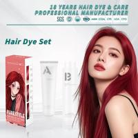 China Purestyle Home Hair Color Kits Long Lasting Herbal Ammonia Free Hair Dye OEM Wholesale Hair Dye Factory Supply for sale
