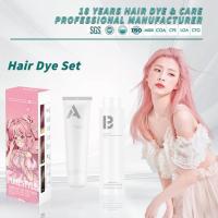 China Purestyle Permanent Hair Dye Cream Professional Home Use Hair Color OEM Wholesale Hair Color Manufacturer Supply for sale