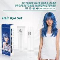 China Purestyle Ammonia Free Permanent Home Hair Dye Gentle Scalp Care Hair Color OEM Wholesale for sale