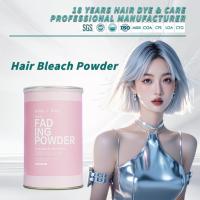 China Ammonia Free OEM Bleach Powder Gentle Hair Color Lightener Wholesale Hair Dye Factory Supply for sale