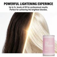 China Ammonia Free OEM Bleach Powder Gentle Hair Color Lightener Wholesale Hair Dye Factory Supply for sale