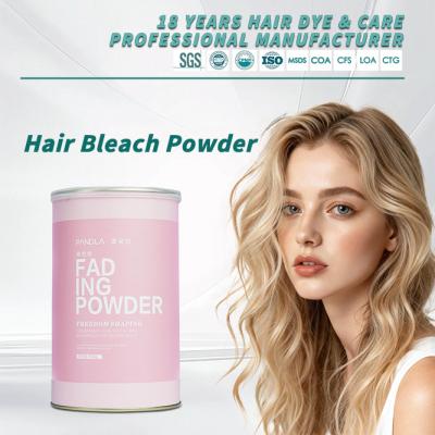 China OEM Hair Color Manufacturer  Blue Bleaching Powder Ammonia Free Lightener Wholesale  Gentle Hair Color Removers for sale