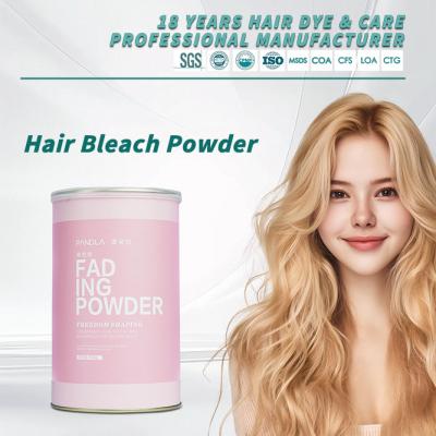 China Pandla Bleach Powder Hair Color Gentle Dust Free Formula OEM Salon Care Lightener Factory Wholesale for sale