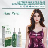 China Down Perm Cream OEM Wholesale Professional Perm Lotion Permanent Curly Hair Perm Cream Hair Color Manufacturer Supply for sale