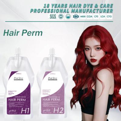 China OEM Hair Perm Cream Long Lasting Herbal Fragrance Salon Curly Hair Perm Hair Dye Factory  Supply for sale
