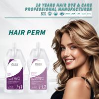 China OEM Hair Hot Perm Lotion Professional Keratin Hair Treatment Long Lasting Hair Curling Products Wholesale Hair Color Manufacturer for sale