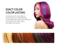 China Organic Hair Color Cream Natural Hair Dye Color Cream Professional Hair Color Products OEM Hair Color Manufacturer for sale