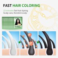 China OEM ODM Bubble Hair Dye Shampoo Herbal Formula Grey Coverage Professional Hair Dye Factory Whoelsale for sale