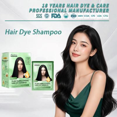 China Natural Hair Dye Shampoo Malaysia Market Hair dye shampoo OEM Private Label Factory Fast Herbal Grey Hair Dye for sale