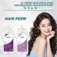 China Sensitive Scalp Non Irritating Fragranced Perming Lotion Bulk Supplier Thioglycolate Free Perm Lotion Manufacturer Export USA OEM ODM for sale