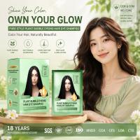 China Wholesale OEM Colorful Bubble Hair Dye Shampoo Gentle Non-Irritating for sale