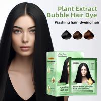 China Wholesale OEM Colorful Bubble Hair Dye Shampoo Gentle Non-Irritating for sale