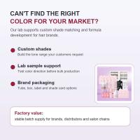 China Professional Hair Color Cream OEM ODM Custom Shades for Salon Brands for sale