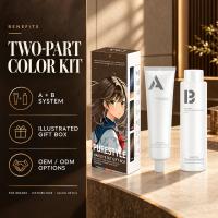 China 100ml + 100ml Pure Style A+B Hair Dye Gift Box OEM ODM Home Hair Dye Kit for Brand and Distributor Projects for sale