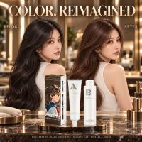 China 100ml + 100ml Pure Style A+B Hair Dye Gift Box OEM ODM Home Hair Dye Kit for Brand and Distributor Projects for sale