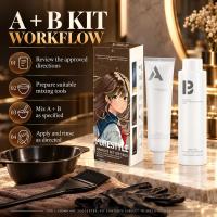China 100ml + 100ml Pure Style A+B Hair Dye Gift Box OEM ODM Home Hair Dye Kit for Brand and Distributor Projects for sale