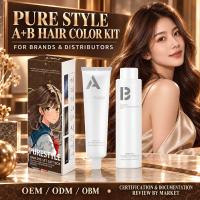China 100ml + 100ml Pure Style A+B Hair Dye Gift Box OEM ODM Home Hair Dye Kit for Brand and Distributor Projects for sale