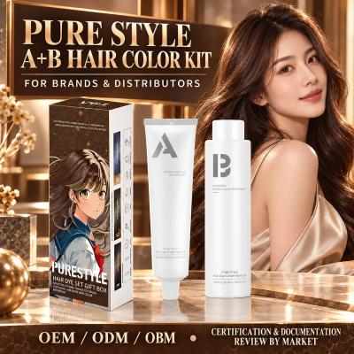 China 100ml + 100ml Pure Style A+B Hair Dye Gift Box OEM ODM Home Hair Dye Kit for Brand and Distributor Projects for sale
