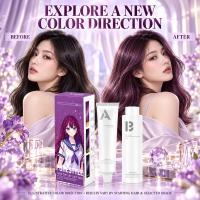 China 100ml+100ml Illustrated Carton Hair Dye Gift Box OEM A+B Hair Color Kit for Home Hair Dye Kit for sale