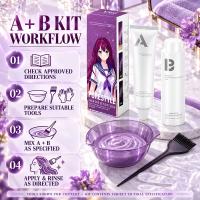 China 100ml+100ml Illustrated Carton Hair Dye Gift Box OEM A+B Hair Color Kit for Home Hair Dye Kit for sale