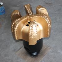 China Polymer Degree PDC Rock Bit Carbide Steel Customize 5 1/2 - 17 2/1 for sale
