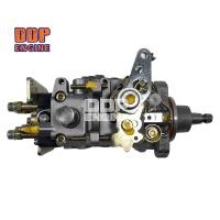China 0460424303 0 460 424 303 2644R9721 10R9699 Diesel Engine Fuel Injection Pump For 416N202 2644N208 10 for sale