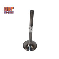 China 6N9916 6N-9916 Diesel Engine Parts Exhaust Valve For 65D 65C D300E D250E for sale