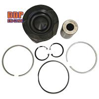 China 4376244 Diesel Engine Piston Kit With Piston Ring For QSX15 ISX15 X15 for sale