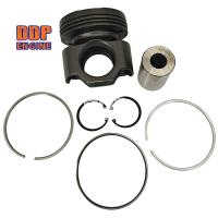 China 4376244 Diesel Engine Piston Kit With Piston Ring For QSX15 ISX15 X15 for sale